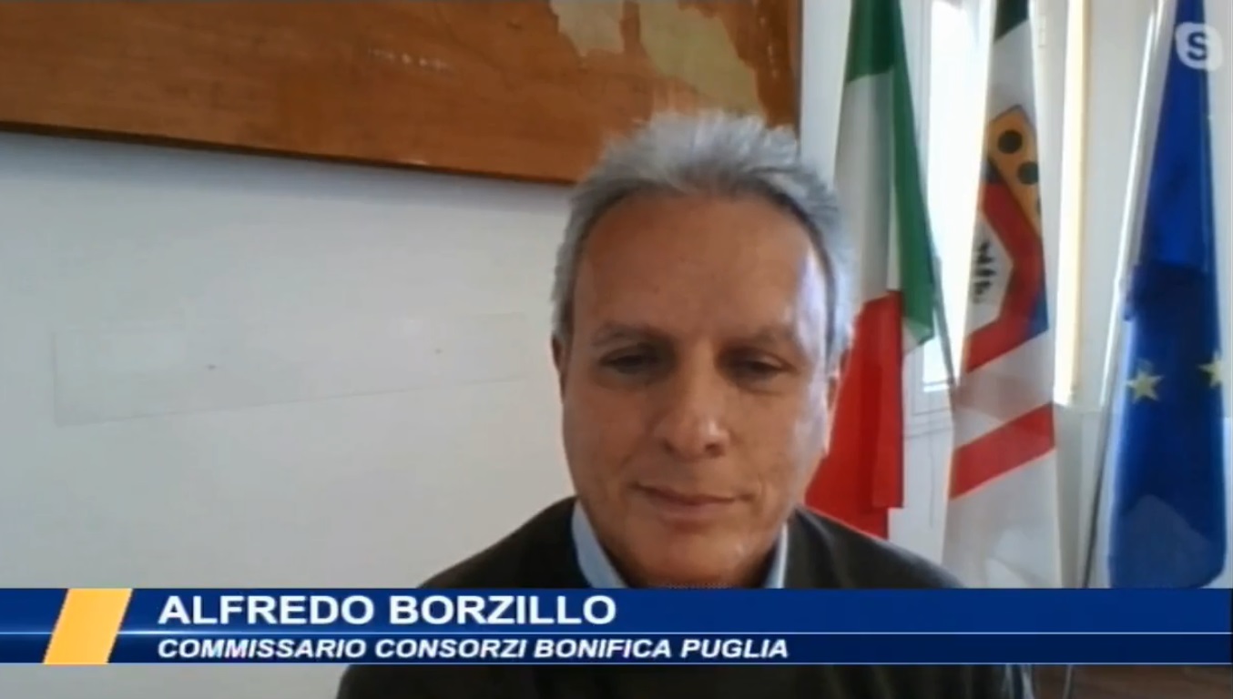 Alfredo Borzillo, commissario straordinario dei Consorzi di Bonifica ...